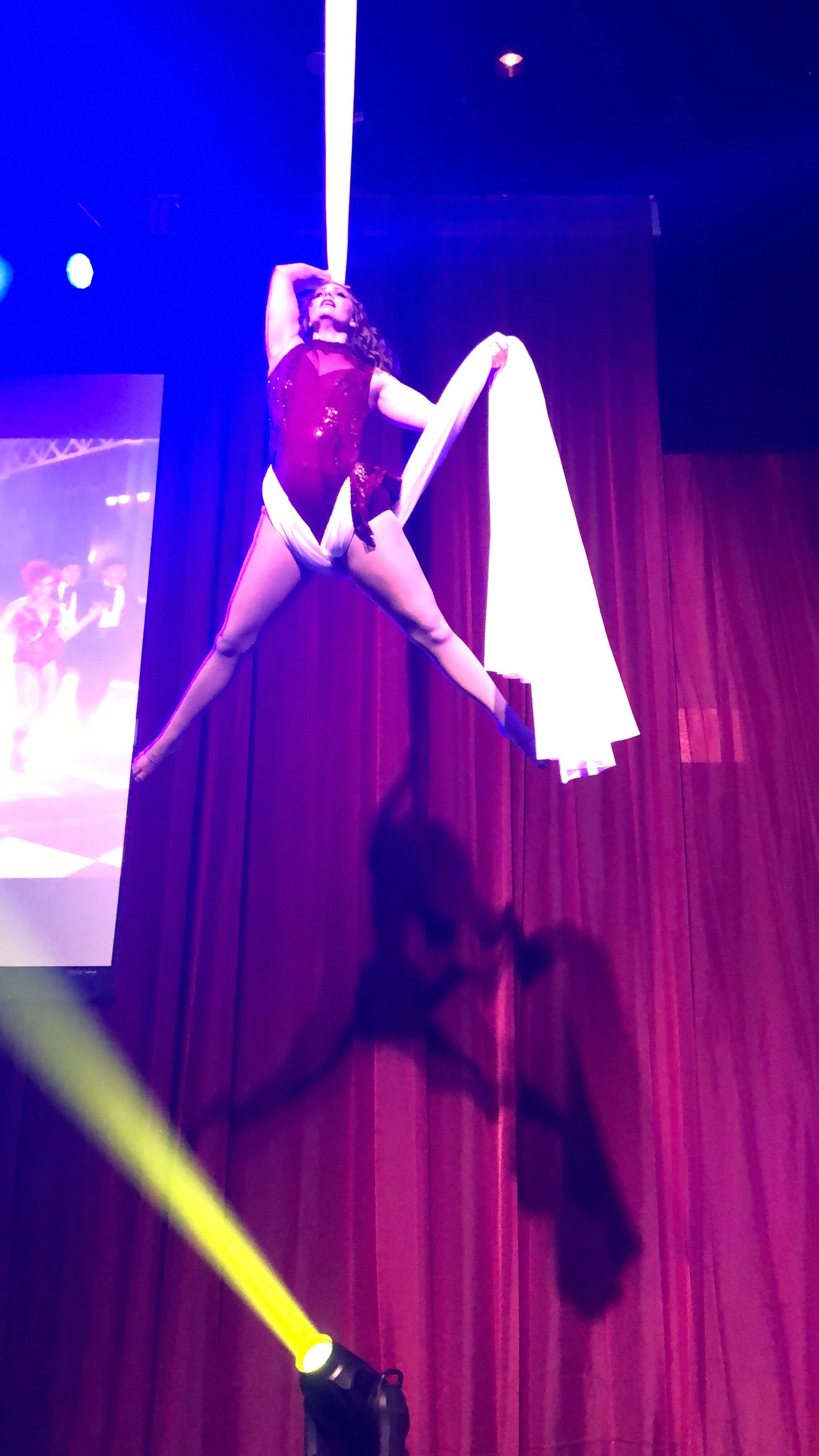 Cirque Wonderland Entertainment | Cirque Wonderland